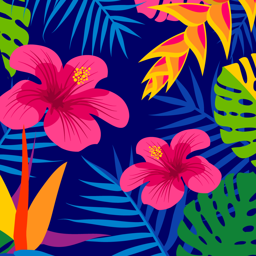 Shareables - Donor Network West